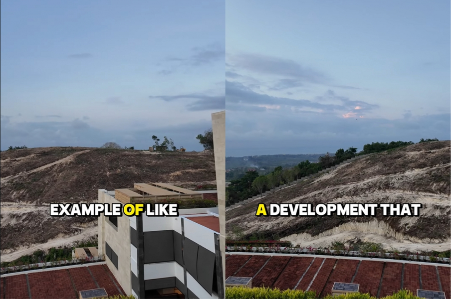 Behind Bali’s Beauty, The Deforestation Story No One Tells